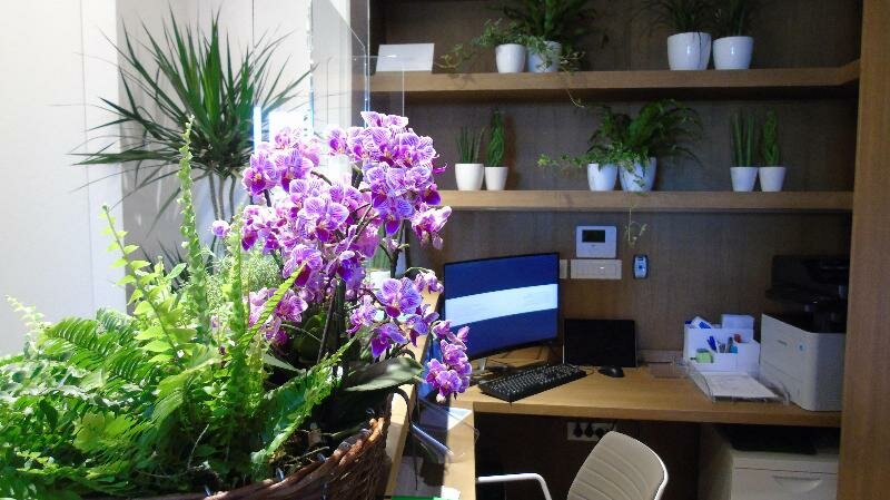 Özel muayenehaneler Wellssuite Centro Medico, Cagliari, foto