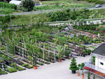 Schober Giardini (Via Ferrera No:105, Ascona), çiçek teslimatı