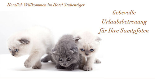 Otel Hotel Stubentiger, Baden‑Wurttemberg, foto