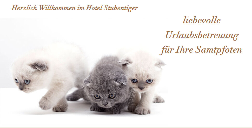 Otel Hotel Stubentiger, Baden‑Wurttemberg, foto