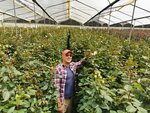 Interfloralogistic (Quito, Parque de las Diversidades), toptancılar  Kito'dan