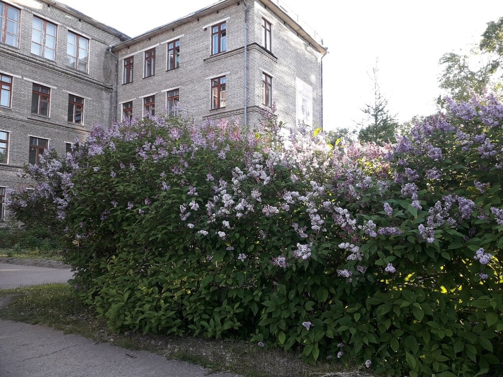 Ortaokul Srednyaya obshcheobrazovatelnaya shkola № 3 g. Koryazhmy Arkhangelskoy oblasti Mou, Koriajma, foto
