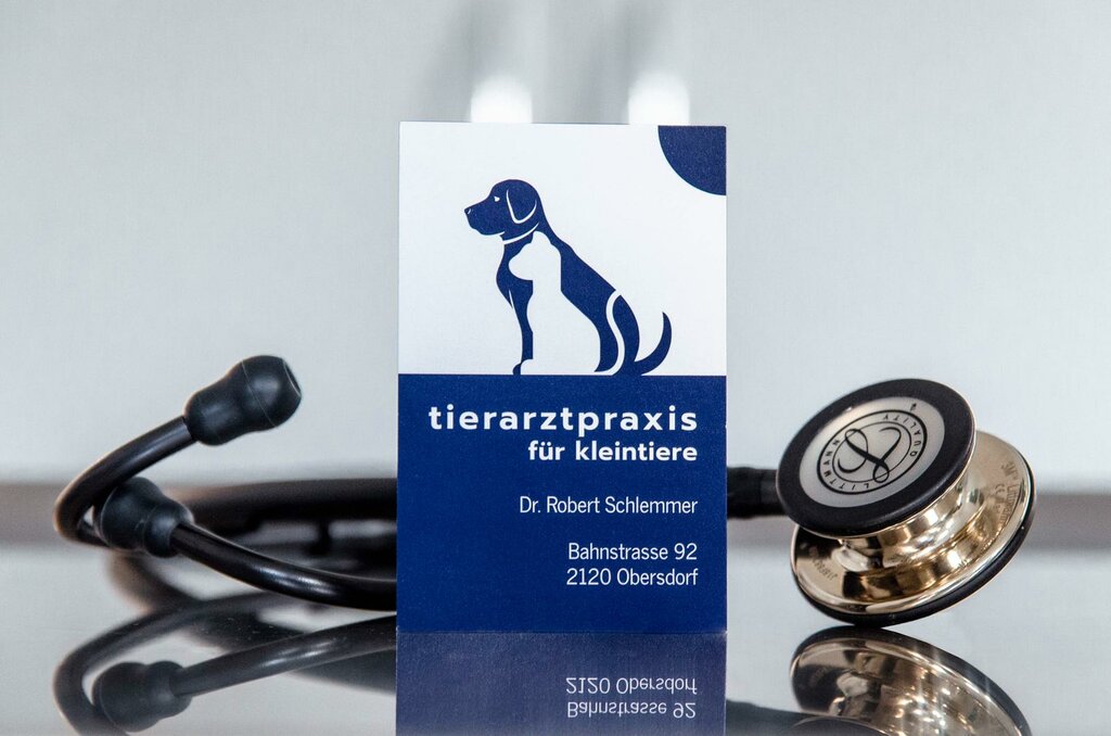 Veteriner klinikleri Tierarztpraxis Dr. Schlemmer, Karintiya, foto