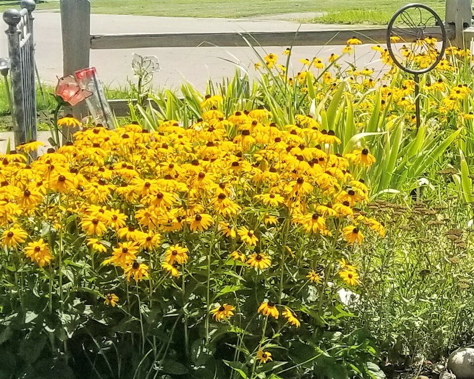 Arazi dizisi Valley Estates, Michigan Eyaleti, foto