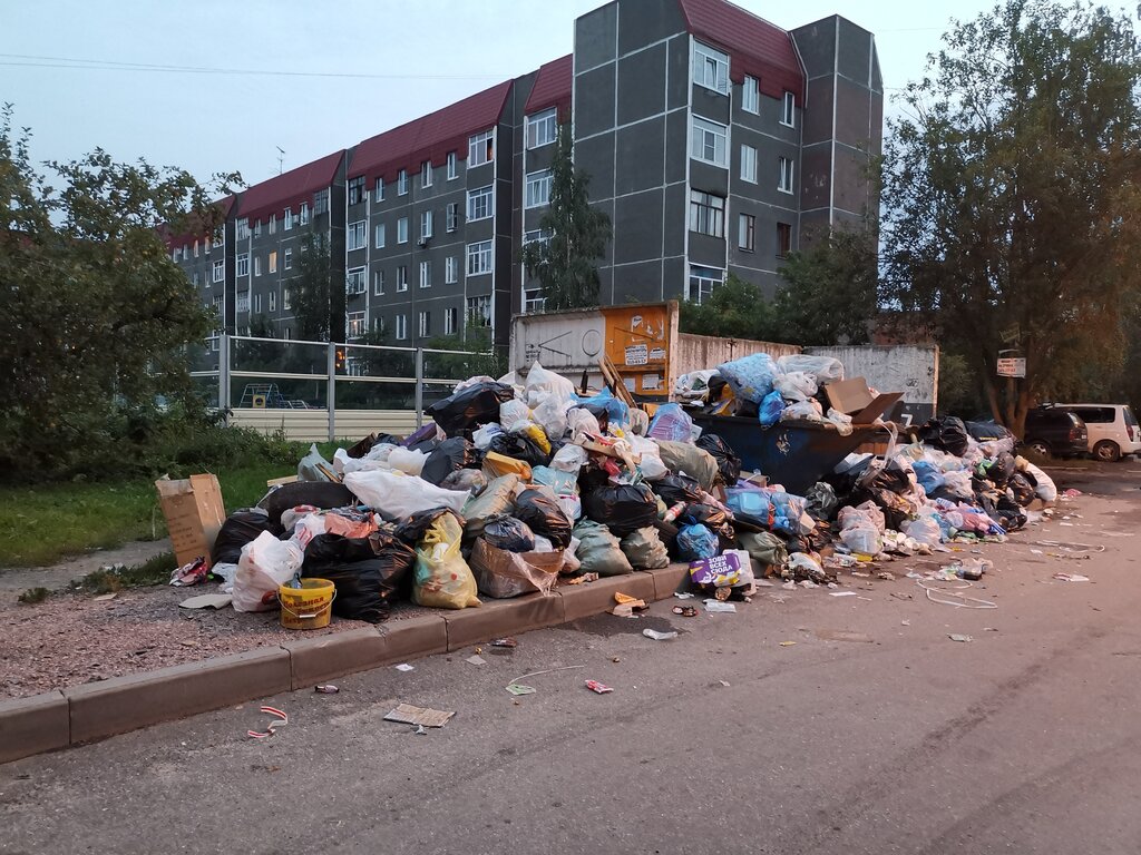 Çöp alanları Trash and garbage disposal area, Saint‑Petersburg ve Leningradskaya oblastı, foto