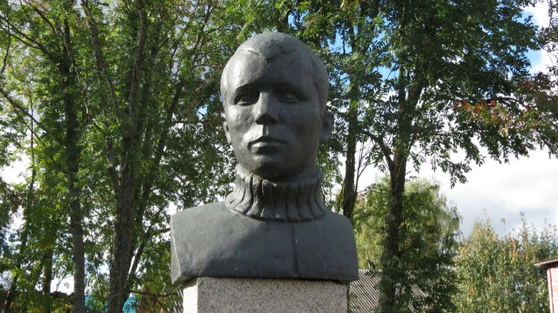 Anıt, heykel Бюст Р.П. Куликова, Arhangelskaya oblastı, foto