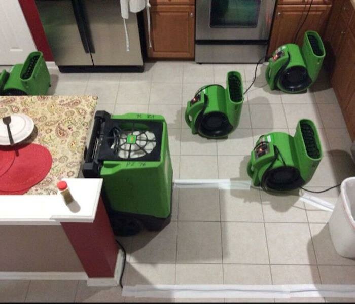 Halı yıkamacılar Servpro of Arlington Jacksonville East, Jacksonville, foto