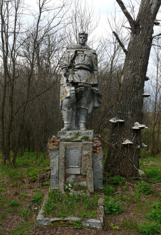 Anıt, heykel Братская могила воинов, Kiev Bölgesi, foto