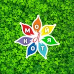 Moy Kotya (Proletarskaya Street No:2), çiçekçiler  Tula'dan