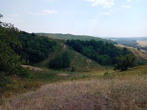Урочище Алебастровая гора (Orenburg Region, Tyulganskiy rayon, Troitskiy selsovet), doğa  Orenburgskaya oblastından