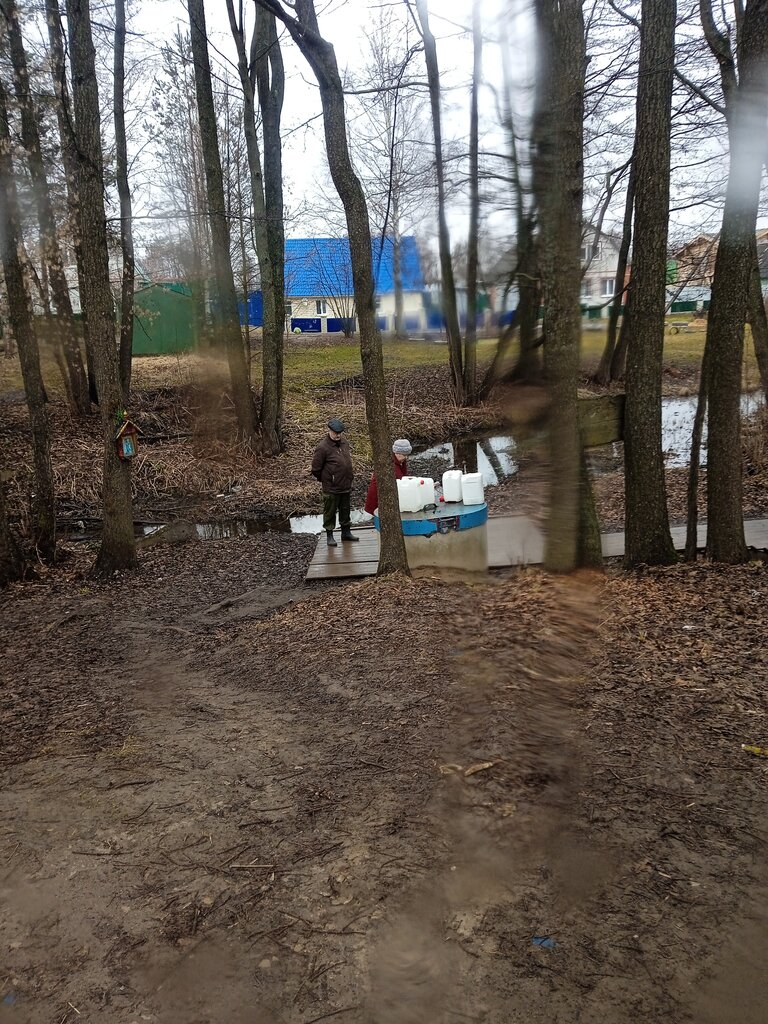 Pınar, çay Spring, stream, Liudinovo, foto
