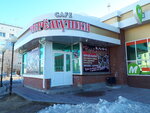 Черемушки (Sibirskaya ulitsa No:59), kafe  Novy Urengoy'dan