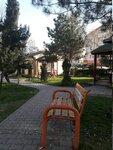 Toplanma Alanı - Şehit Piyade Er Ali Başpınar Parkı (Ankara, Mamak, Akdere Mah., 382 Sok.), afet ve acil durum toplanma alanı  Ankara'dan