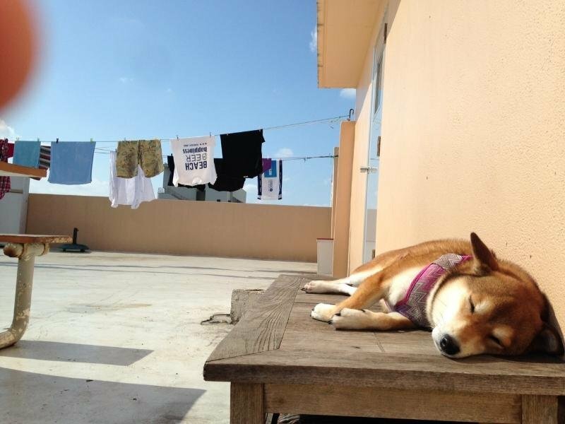 Otel Guest House Emix, , foto