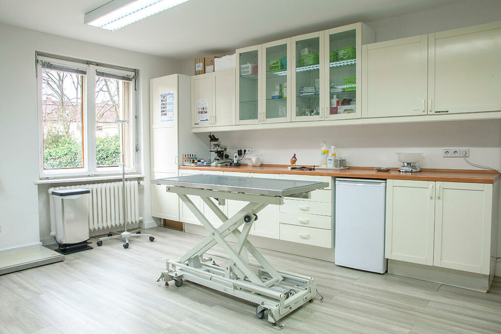 Veteriner klinikleri Flidais - Vet Kleintierarztpraxis - praktische Tierärzte, Berlin, foto