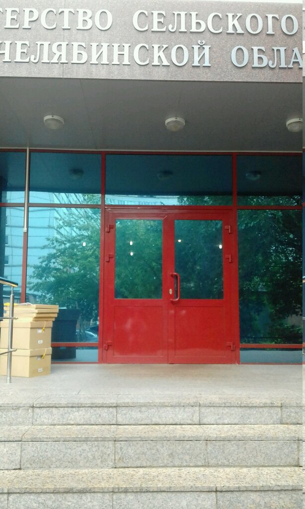 Belediye ve kamu hizmetleri merkezi MFTs Moi dokumenty, Çeliabinsk, foto