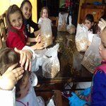 Hongos del Valle (25 de Febrero), market