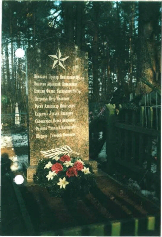 Anıt, heykel Братская могила, Vologodskaya oblastı, foto