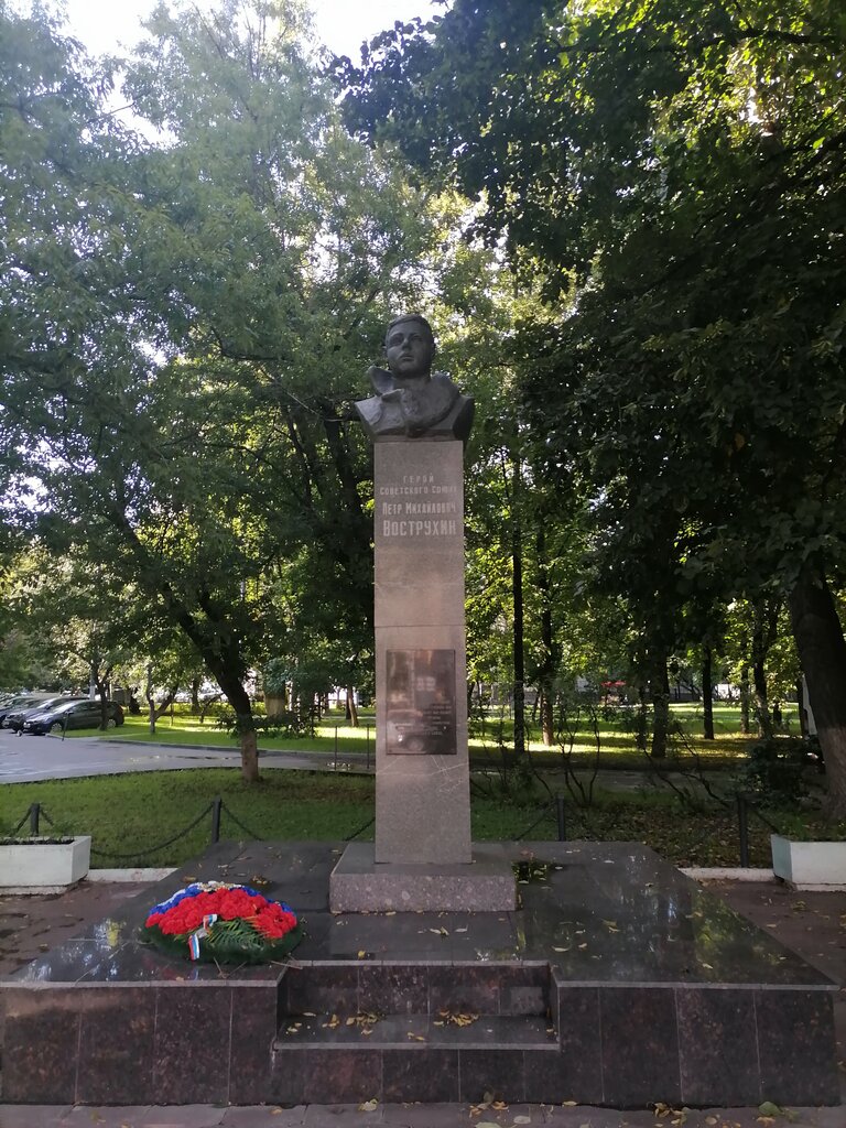 Anıt, heykel Лётчик Герой Советского Союза Петр Михайлович Вострухин, уроженец деревни Выхино, Moskova, foto
