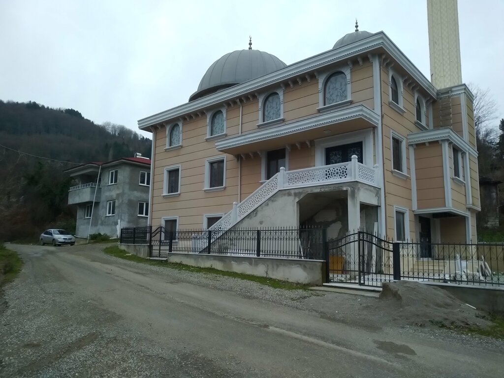 Cami Çubuklu Köyü Cami, Çatalzeytin, foto