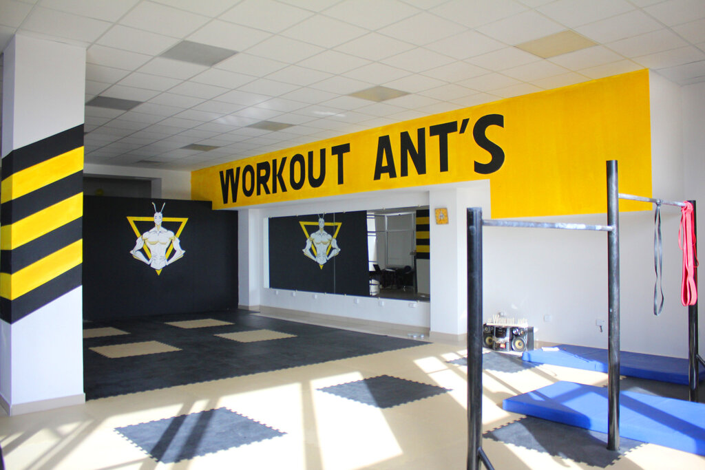 Fitness kulüpleri Workout Ant, Ulan‑Ude, foto
