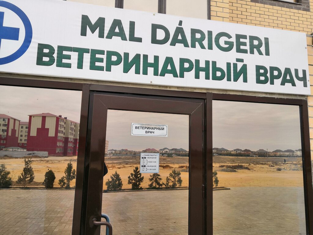 Veteriner klinikleri Veterinarian, Aktav, foto