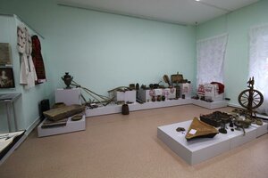 Kirsanovsky krayevedchesky muzey (Krasnoarmeyskaya ulitsa No:26, Kirsanov), müzeler ve sanat galerileri  Kirsanov'dan