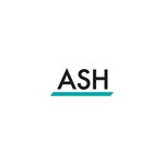 Ash Arning Partnerschaft mbB Rechtsanwälte Steuerberater (Ostertorstraße No:7, Lübbecke), mali müşavir  Lubbecke'den