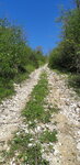 Олений ключ (Krasnodar Territory, Sochi Resort City Urban District, Adlerskiy City administrative district), pınar, çay  Soçi'den