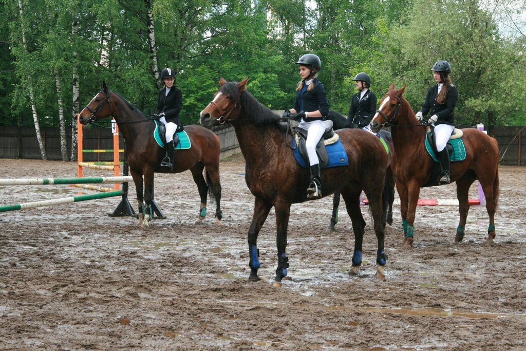 Hipodromlar Hippodrome, Moskova, foto