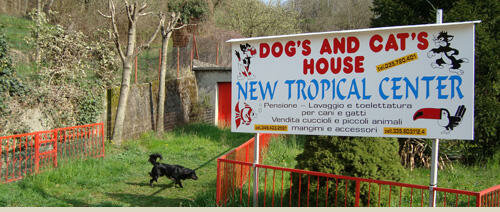 Petshop Dog'S And Cat'S House New Tropical Center, Lombardiya, foto