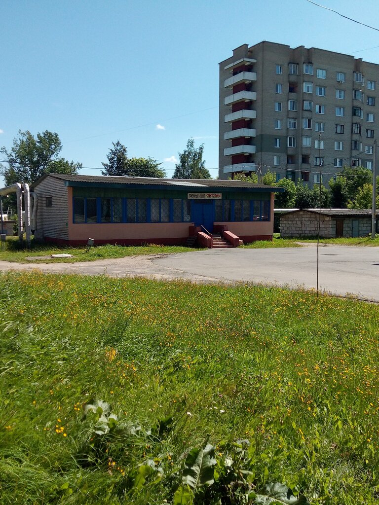 Geri dönüşüm maddeleri Пункт приема вторсырья, Orsha, foto