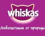 NashZooMir (ulitsa Kalinina No:73А), petshop  Novoçerkassk'tan