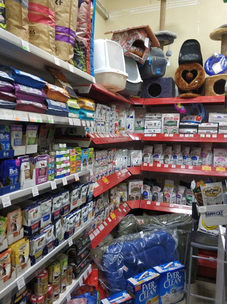 Petshop ZooTochka, Moskova ve Moskovskaya oblastı, foto
