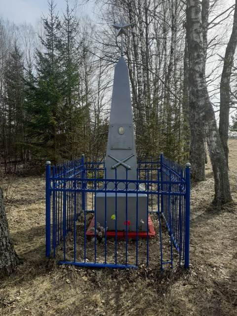 Anıt, heykel Могила артиллериста СТ. лейтенанта Б. А. Пелевина в д. Каменка, Brianskaya oblastı, foto