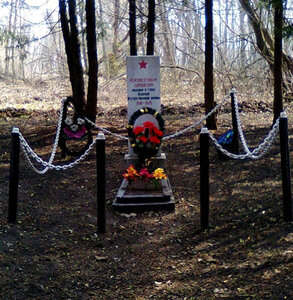 Братская могила (Tula Region, Tyoplo-Ogaryovskiy rayon, selskoye poseleniye Volchye-Dubravskoye, selo Bolshoye Ogaryovo), anıt, heykel  Tulskaya oblastından