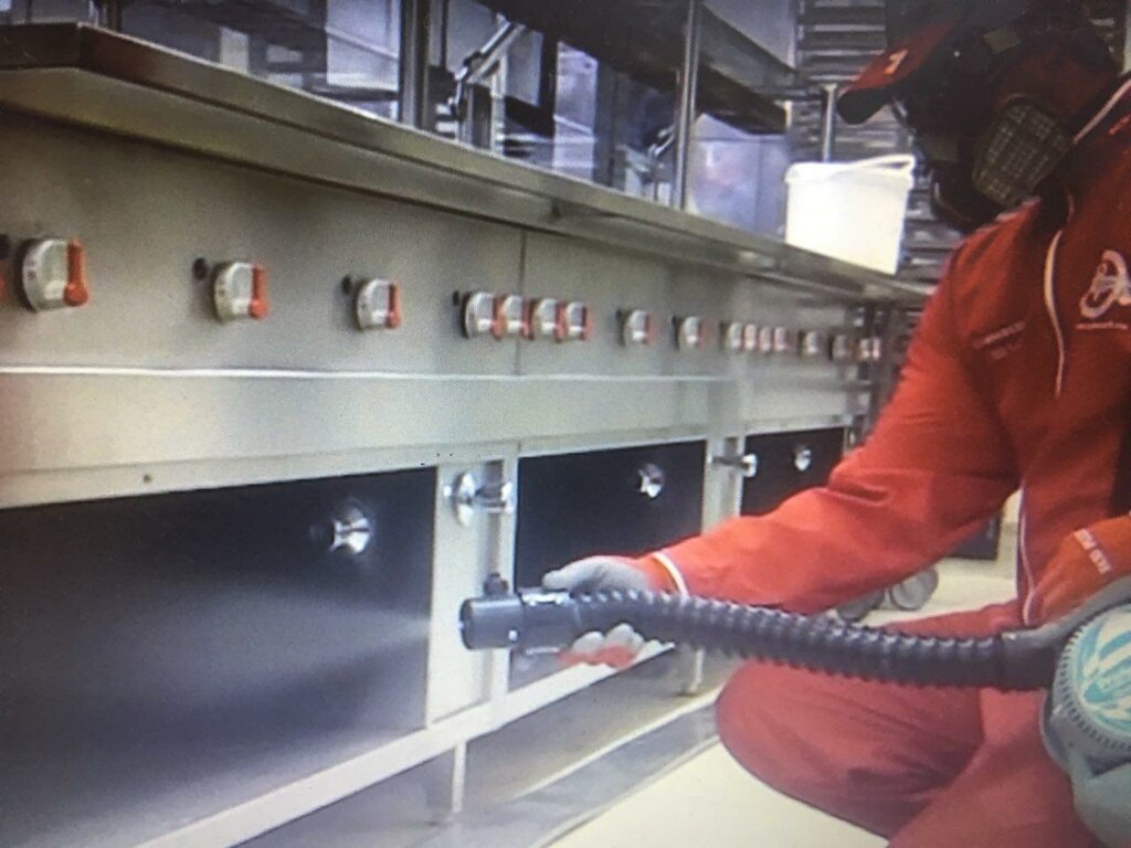 Haşere ilaçlama firmaları Sesmoscow, Moskova, foto