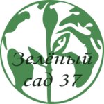 Green garden 37 (Tezinskaya ulitsa No:1А, Rodniki), fidan yetiştiriciliği  Rodniki'den