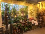 Tansy (United States, Burbank, 2120 W Magnolia Blvd), yapay bitki ve çiçek  Burbank'tan