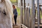Pension Reiterhof Kurze (Saxony, Meißen, Lessaer Straße, 47), tarım makineleri, ekipmanlar  Saksonya'dan