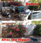Best Junk Removal (Arizona, Maricopa County, City of Mesa), nakliye firmaları  Mesa'dan