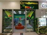 Сороконожка (Minigali Gubaydullina Street No:6), çocuk ayakkabı mağazaları  Ufa'dan