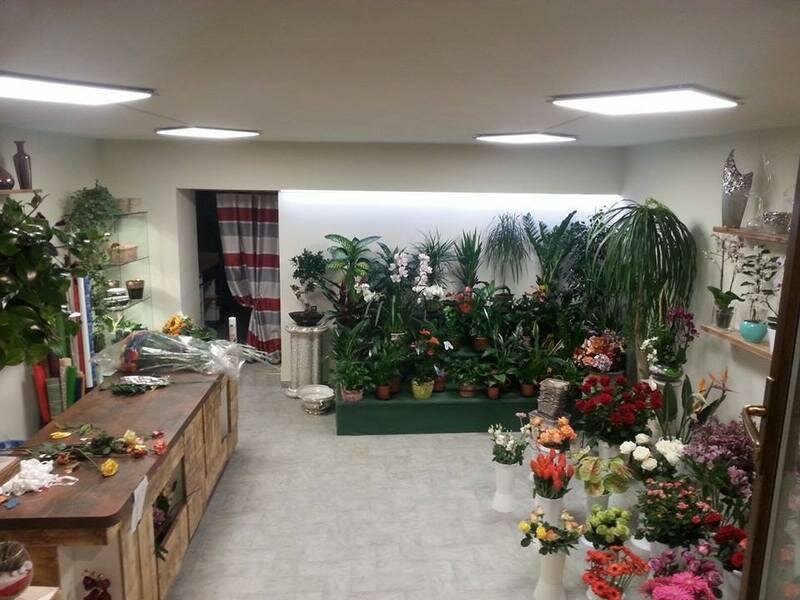 Çiçek teslimatı Fiorarte, Marche, foto