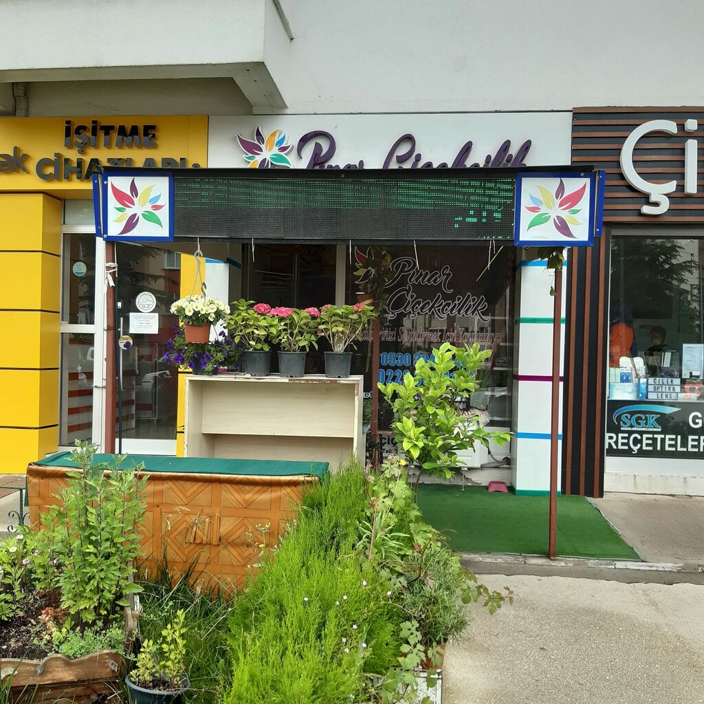 Çiçekçiler Eskişehir Pınar Çiçekçilik, Eskişehir, foto