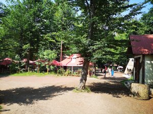 Cafe (Dilijan National Park), kafe  Tavuş'tan