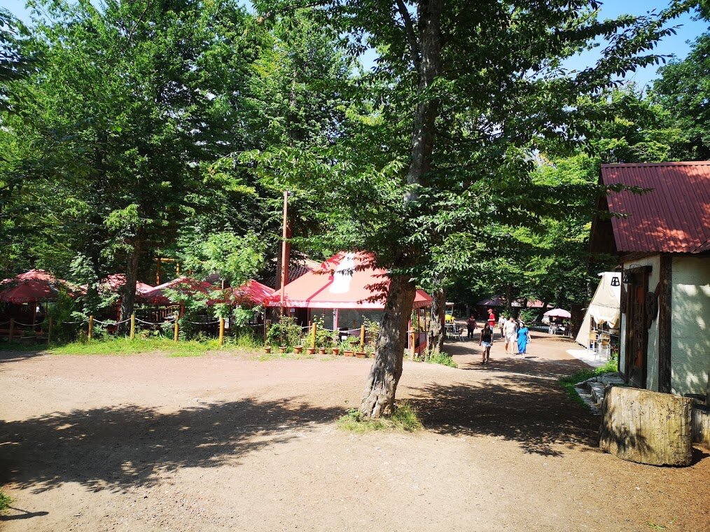 Kafe Cafe, Tavuş, foto