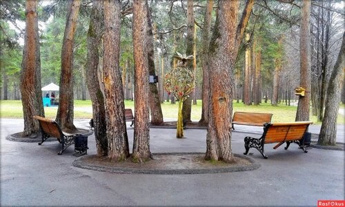 Müzeler ve sanat galerileri Музей под открытым небом 11 победных сосенок, Prokopyevsk, foto