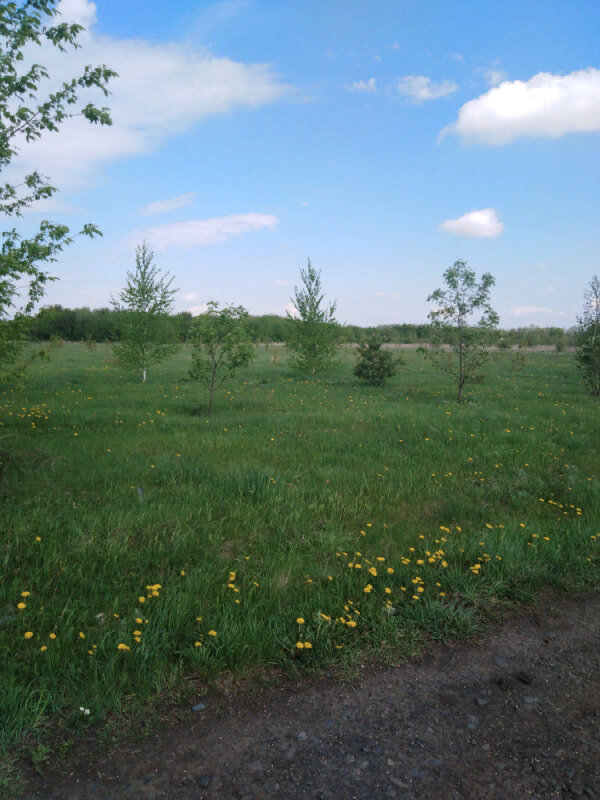 Turistik yerler Солдатское поле, Voronejskaya oblastı, foto