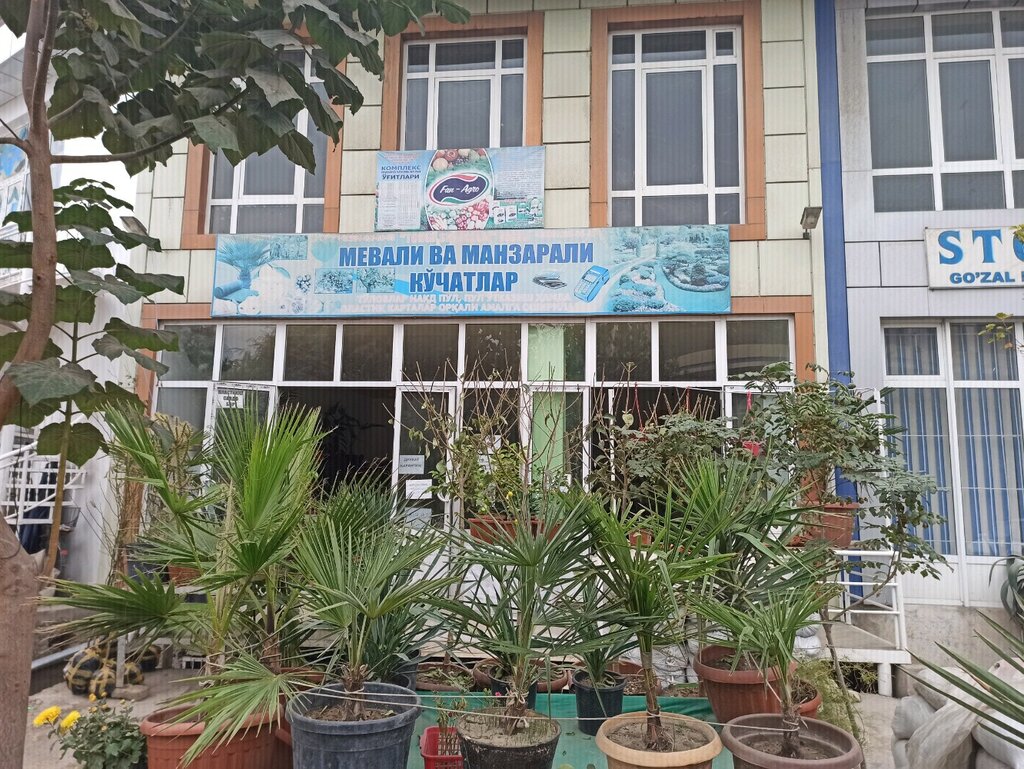 Bahçecilik mağazaları Fruit and Decorative Seedlings, Nemengan, foto