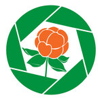 Cloudberry (Maksima Gorkogo Street No:232), fotoğraf hizmetleri  Nijni Novgorod'dan